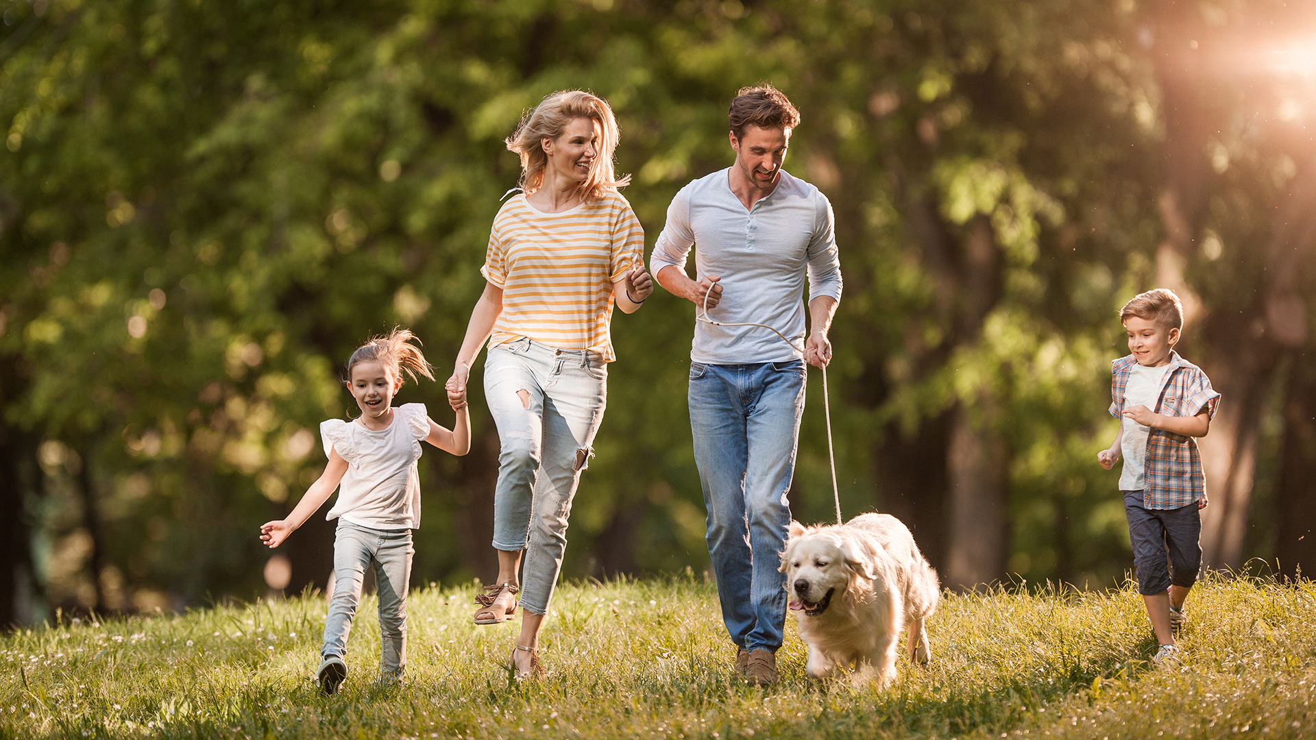 ¿Viajas con tu mascota? Descubre estos 5 hoteles pet friendly